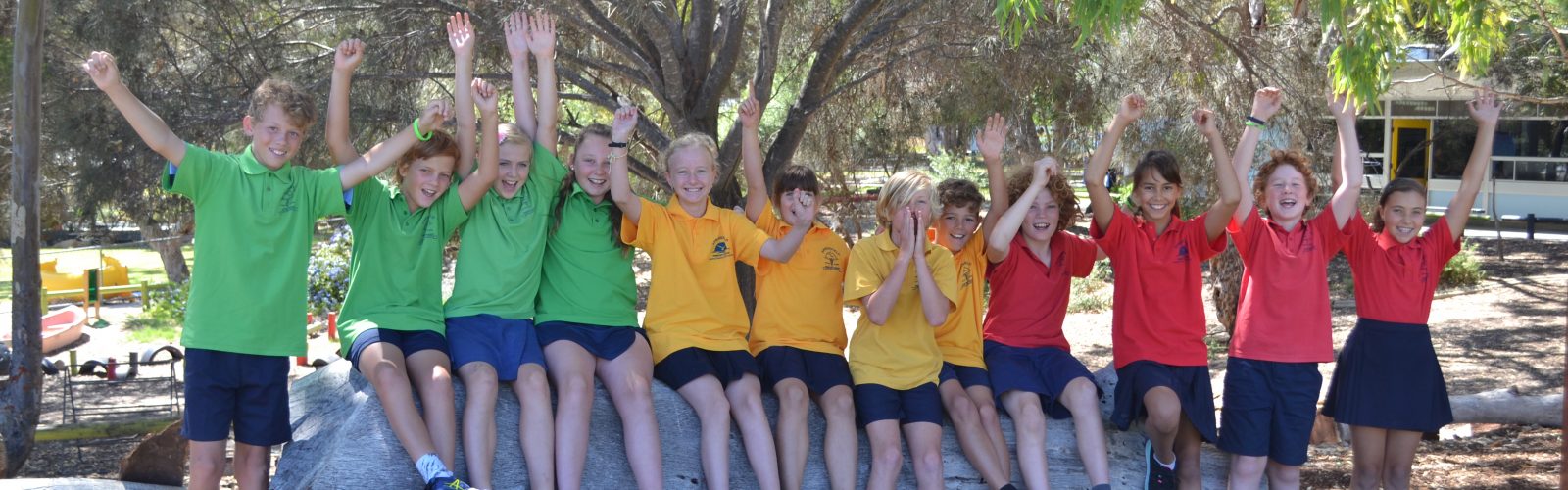 Enrolling at Springfield – Springfield Primary School